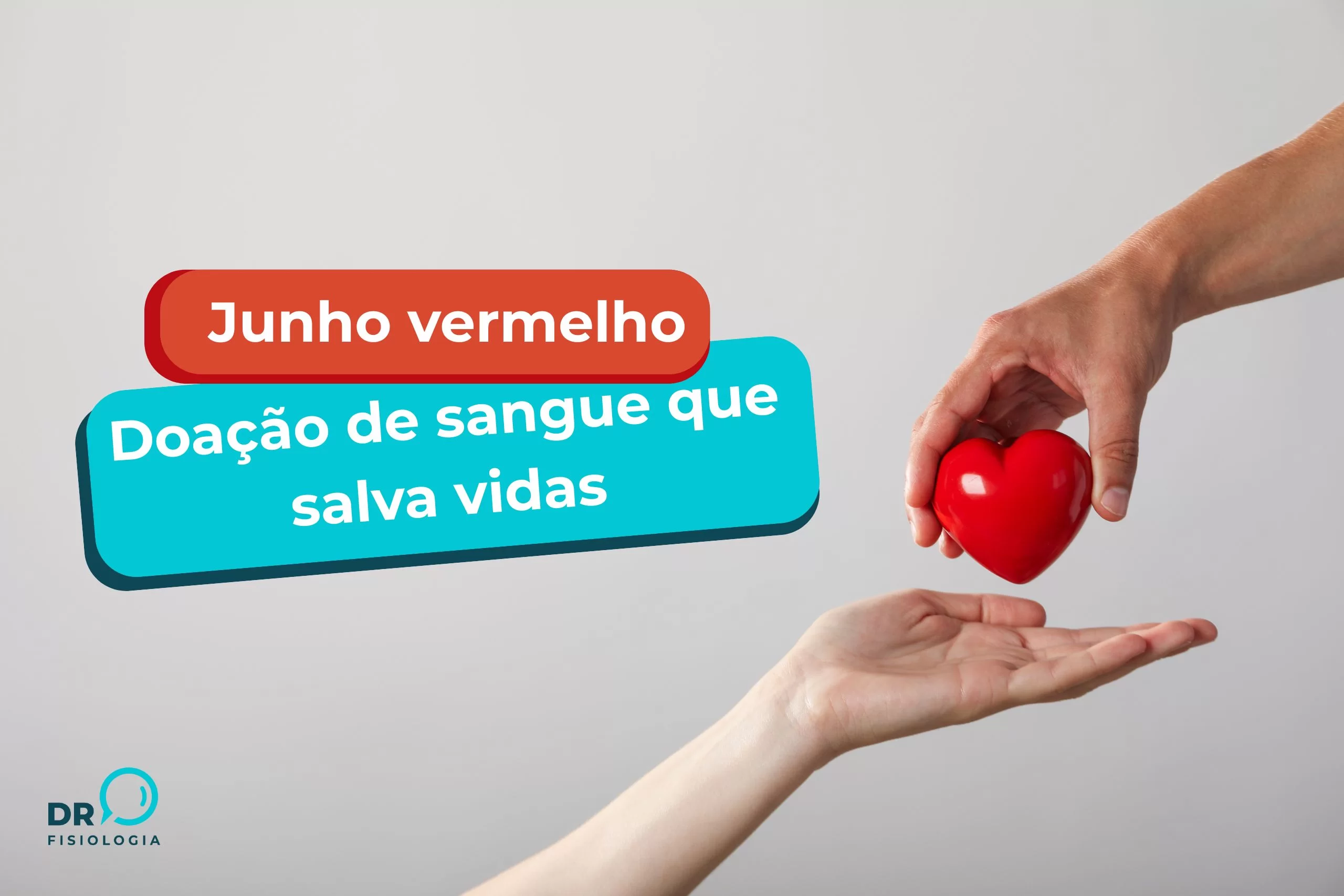Doação de sangue: quem pode doar e como funciona